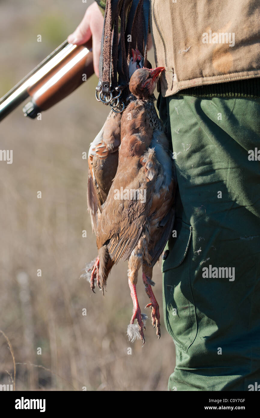 A successful hunting day´s prize; still life Stock Photo - Alamy