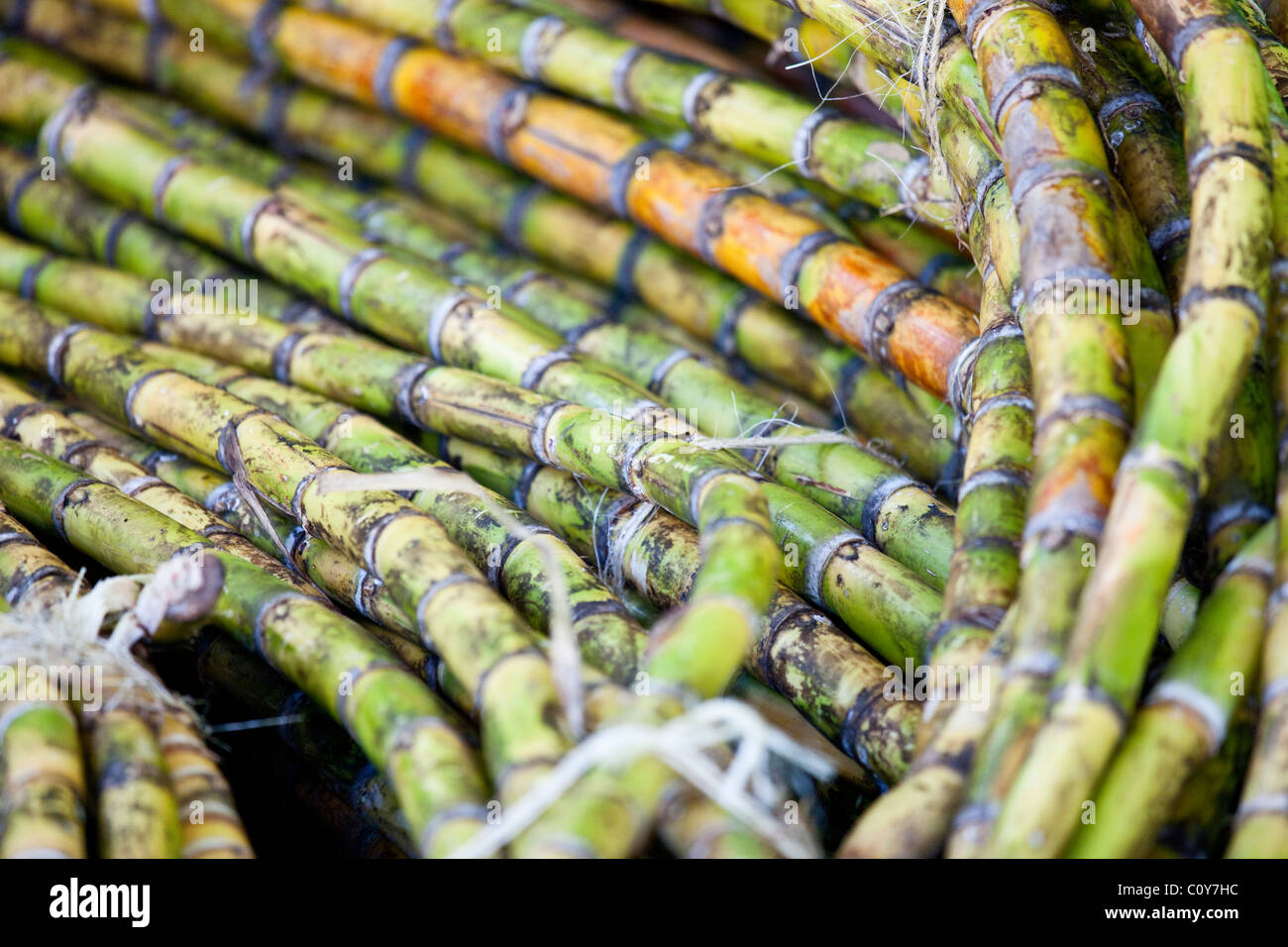 Brazilian sugar cane hi-res stock photography and images - Alamy