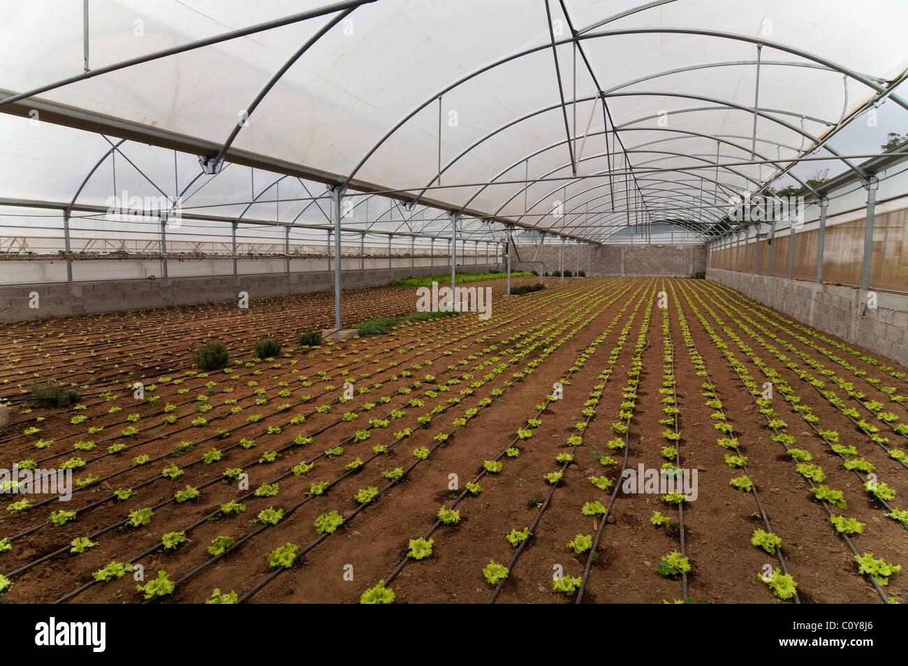 Climate development island hi-res stock photography and images - Alamy