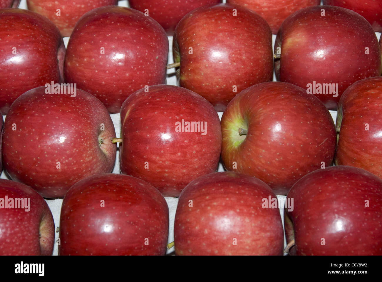 Australian apples hi-res stock photography and images - Alamy
