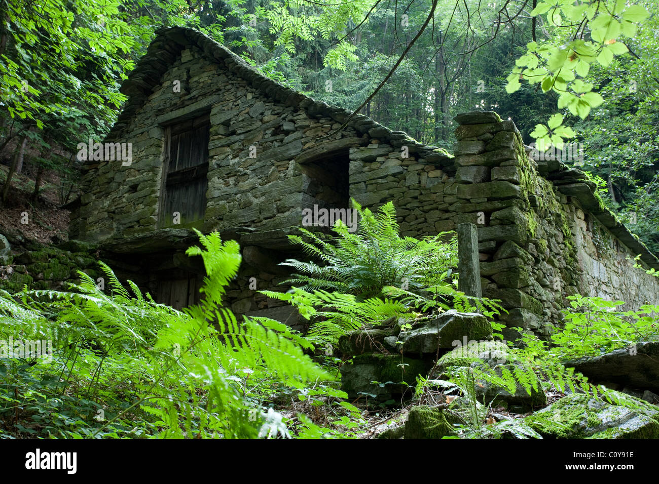 Stone Cottage House Woods High Resolution Stock Photography and Images ...