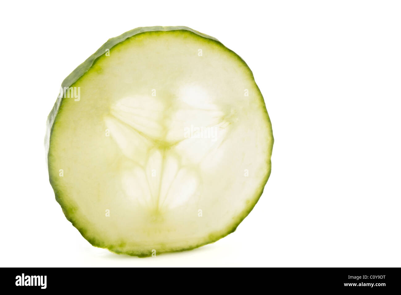 Close-up picture of a cucumber slice on a white background Stock Photo ...