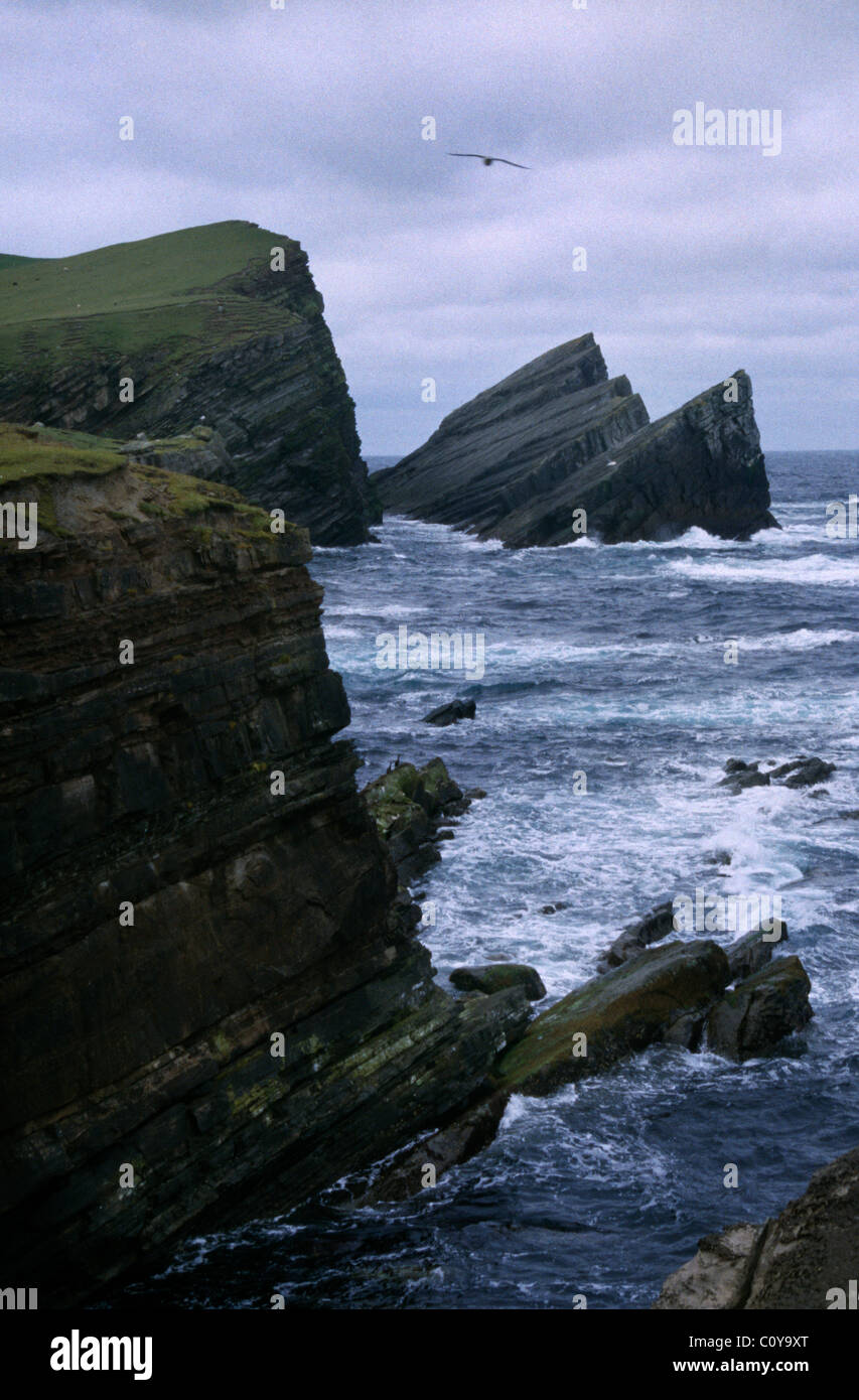 Foula Scotland Gaada Stack Stock Photo - Alamy