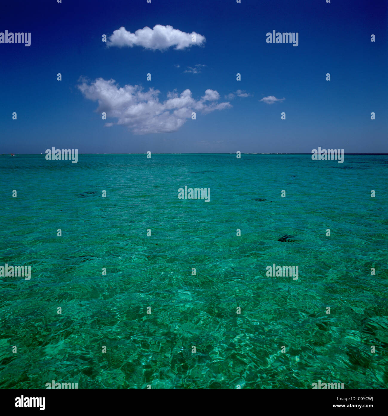 Caribbean Tobago Sea Stock Photo - Alamy