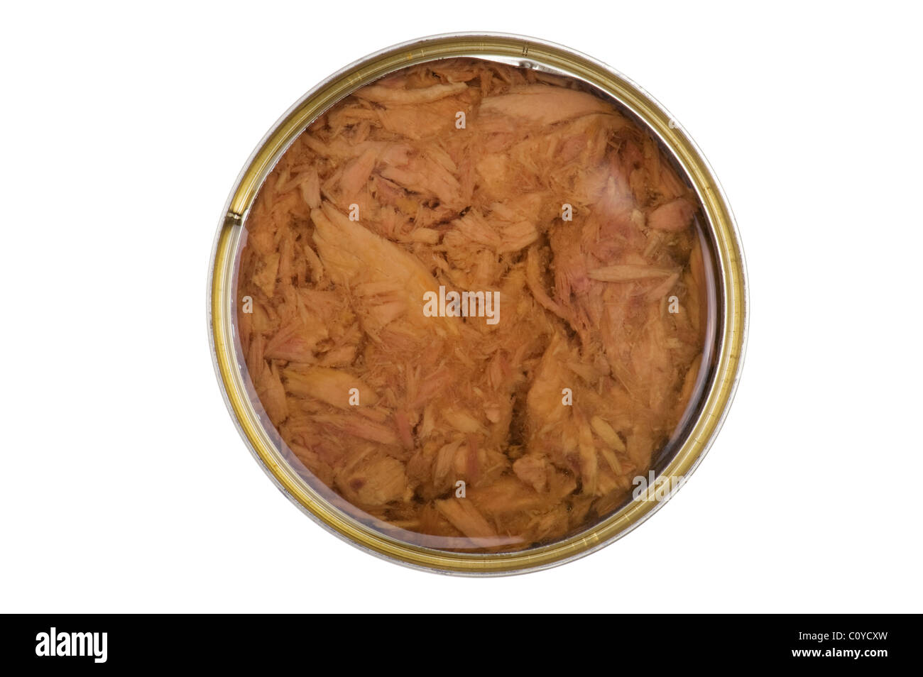 object on white - food minced canned tuna in oil Stock Photo - Alamy