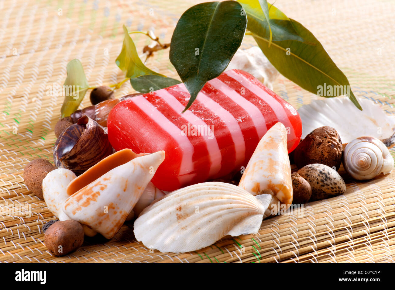 soap with seashells close up on reed mat Stock Photo - Alamy