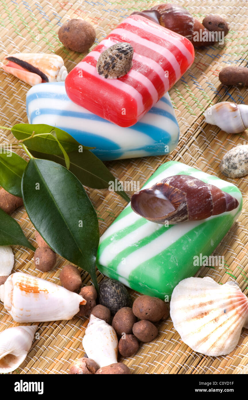 soap with seashells close up Stock Photo - Alamy