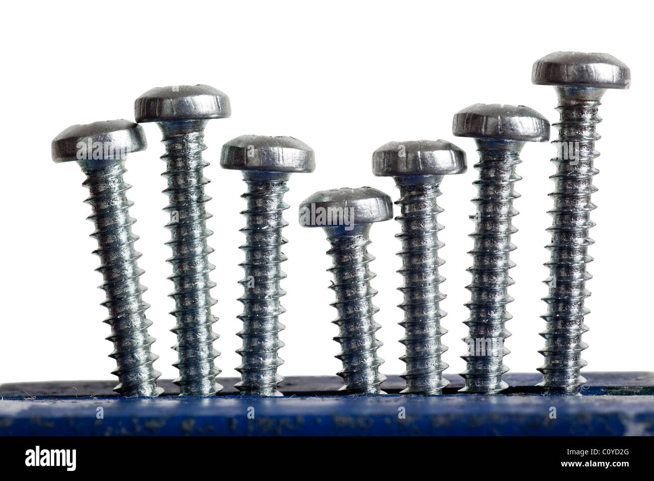 Rows of screws isolated on white background Stock Photo - Alamy