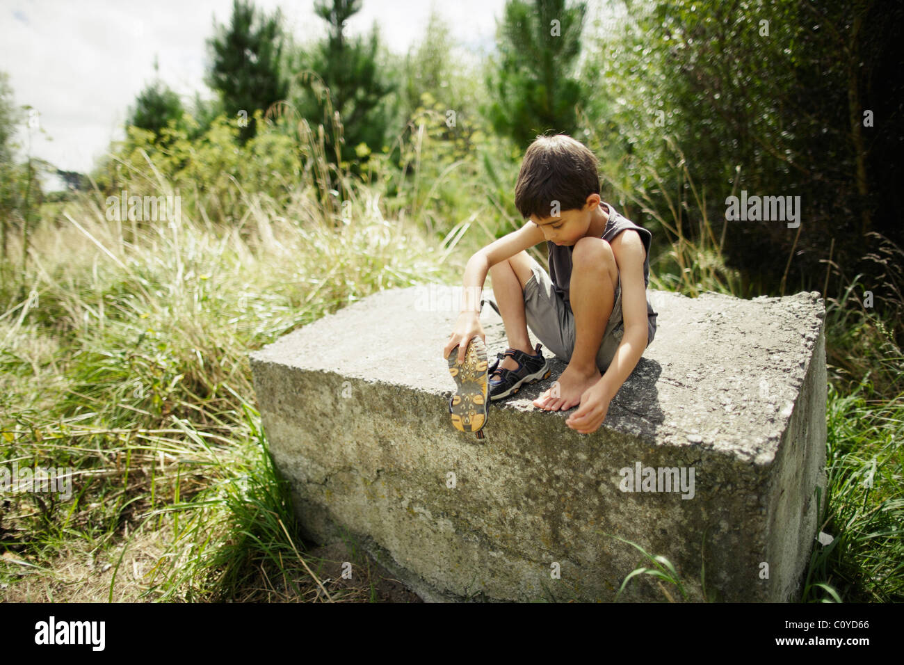 Shoe bush shoe hi-res stock photography and images - Alamy