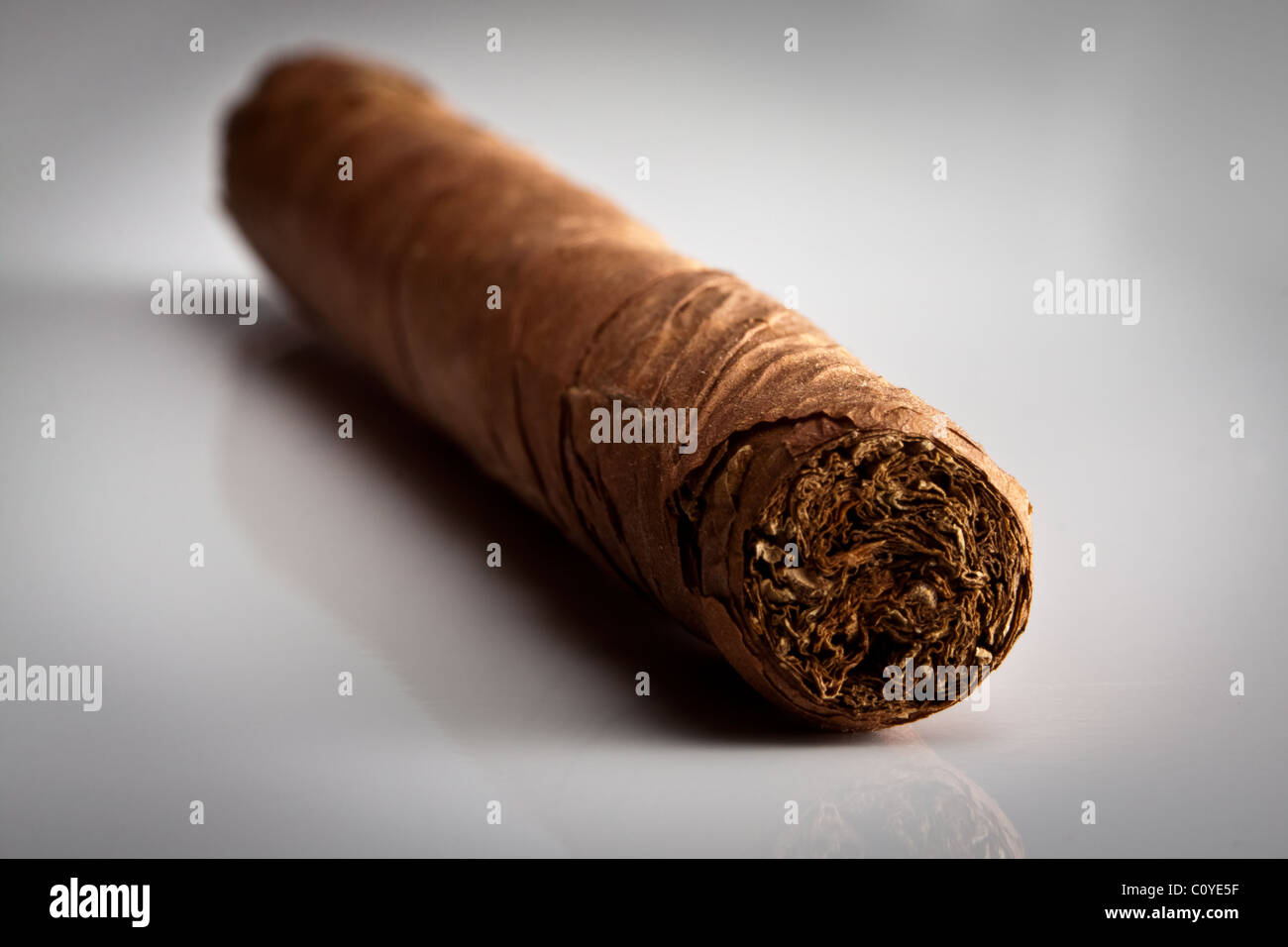 cigar on white background Stock Photo - Alamy