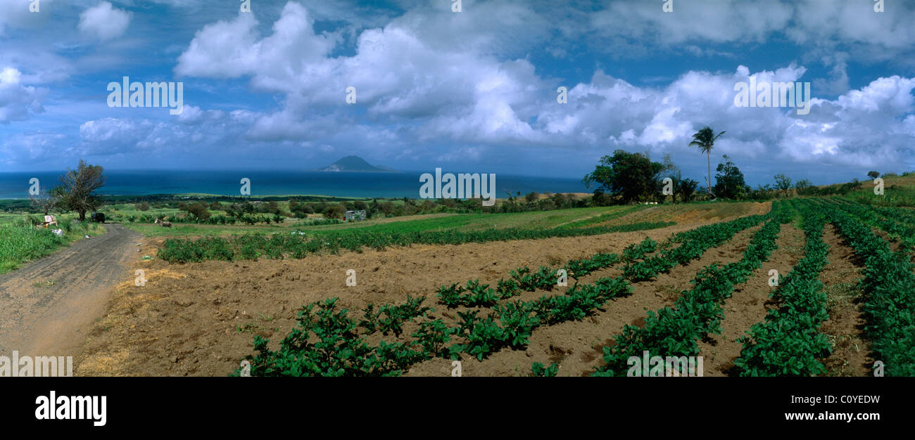 Experimental Farm High Resolution Stock Photography and Images - Alamy