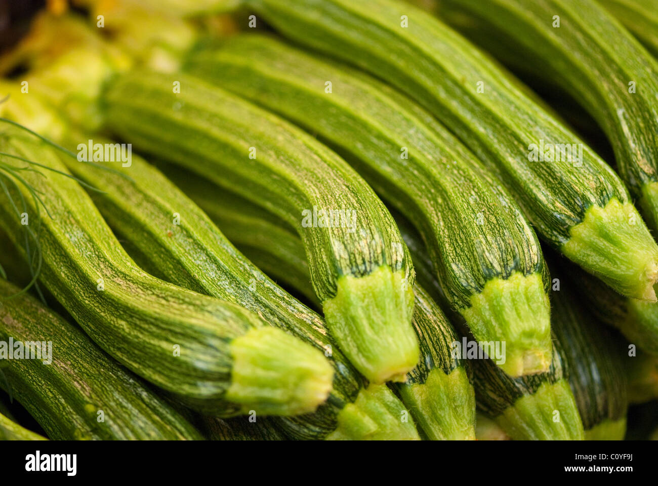 Baby marrows hi-res stock photography and images - Alamy