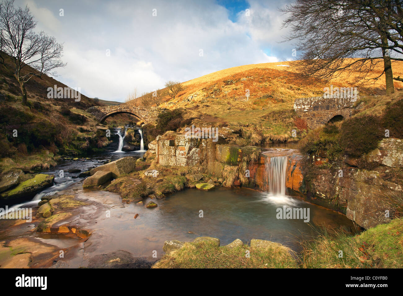 Three Shire Heads Stock Photo - Alamy
