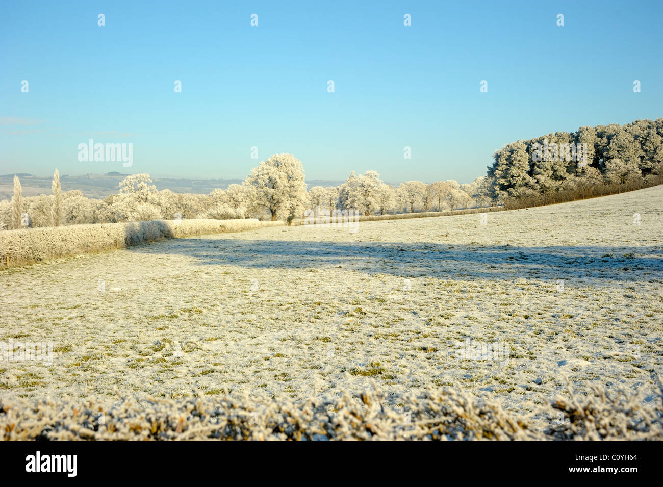 Morning sun on frosty landscape Stock Photo - Alamy