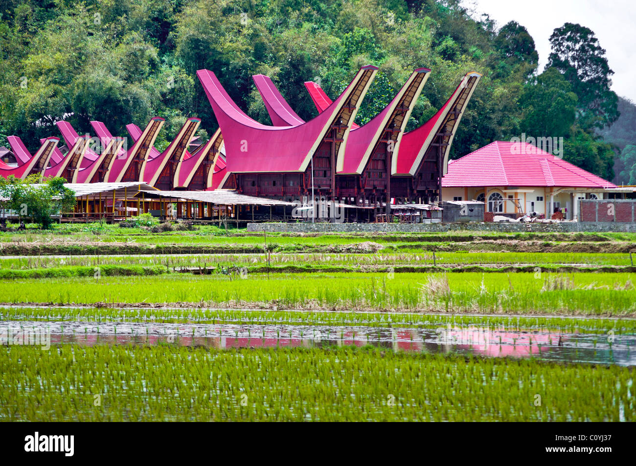 Toraja architecture hi-res stock photography and images - Alamy