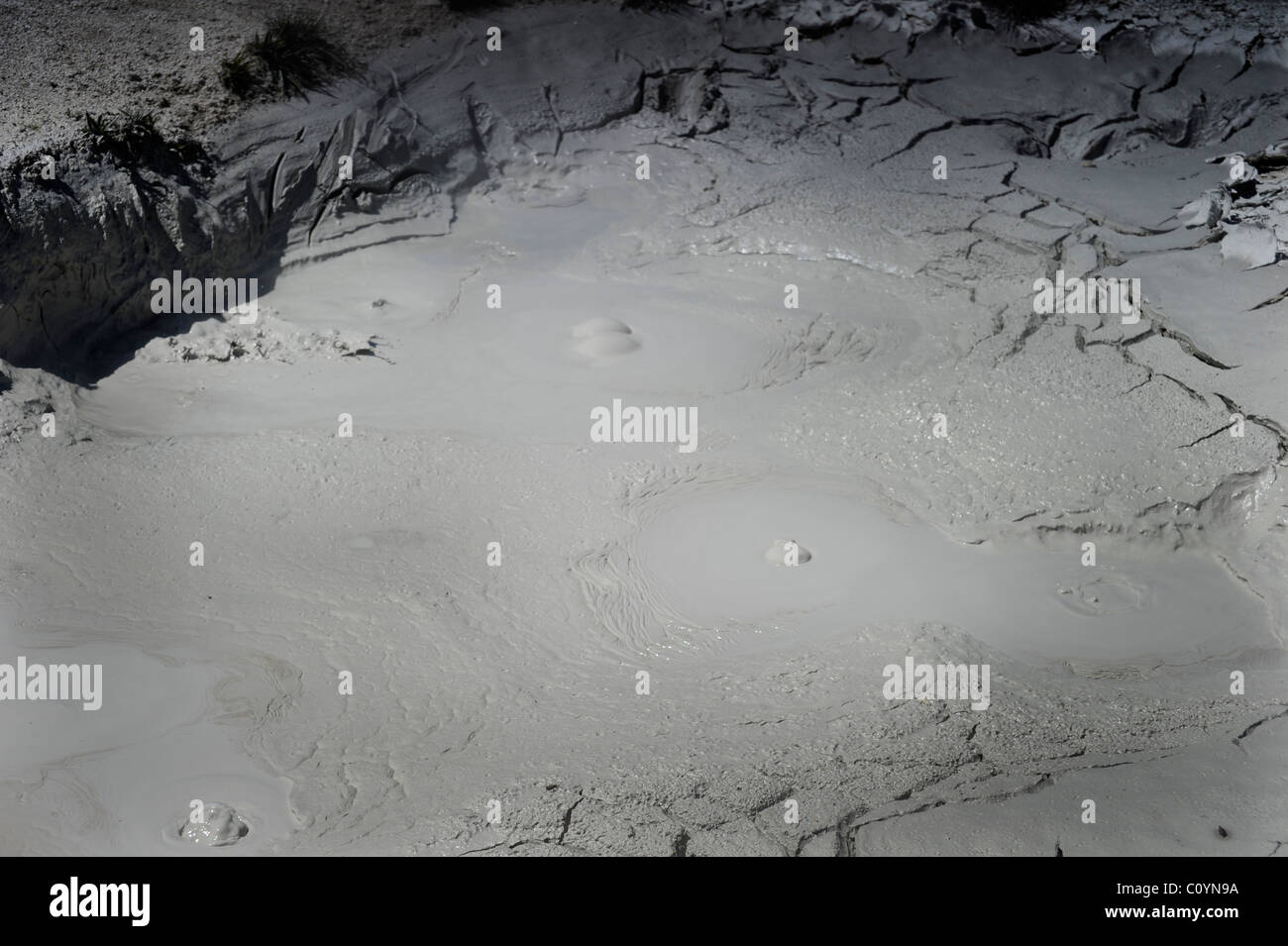 A close-up of boiling mud known as a mud pot in Yellowstone National ...