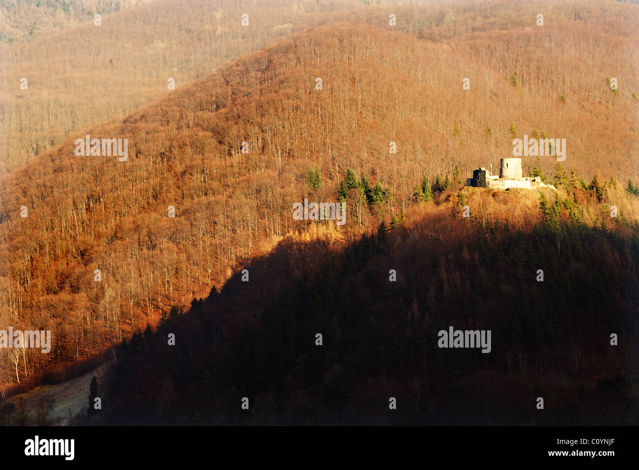Ruins of Rytro Castle, Poland Stock Photo - Alamy