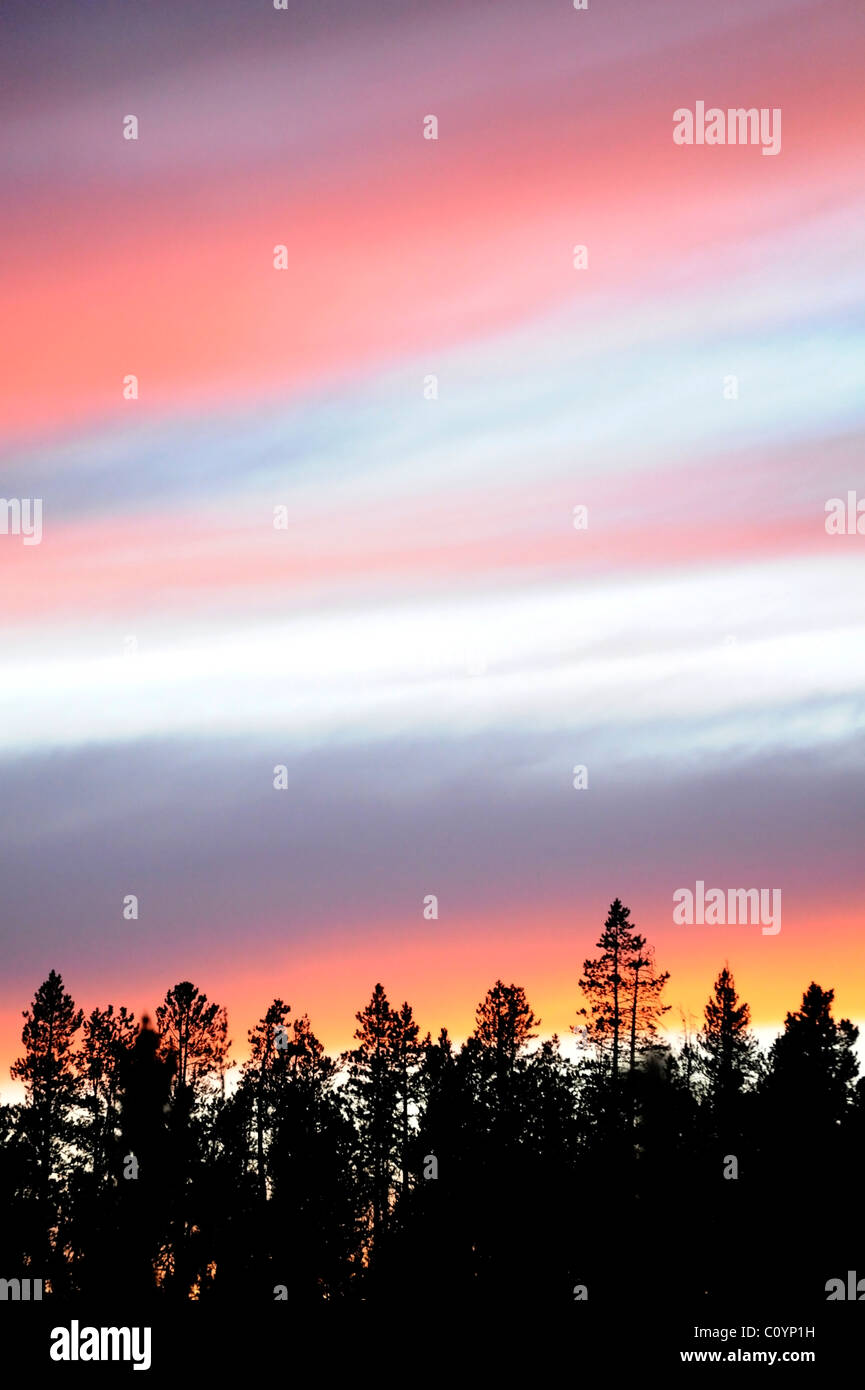 Silhouette of tree line at sunset Stock Photo - Alamy