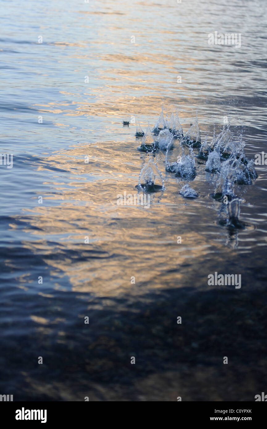 Effect of pebbles thrown into water at dusk Stock Photo - Alamy