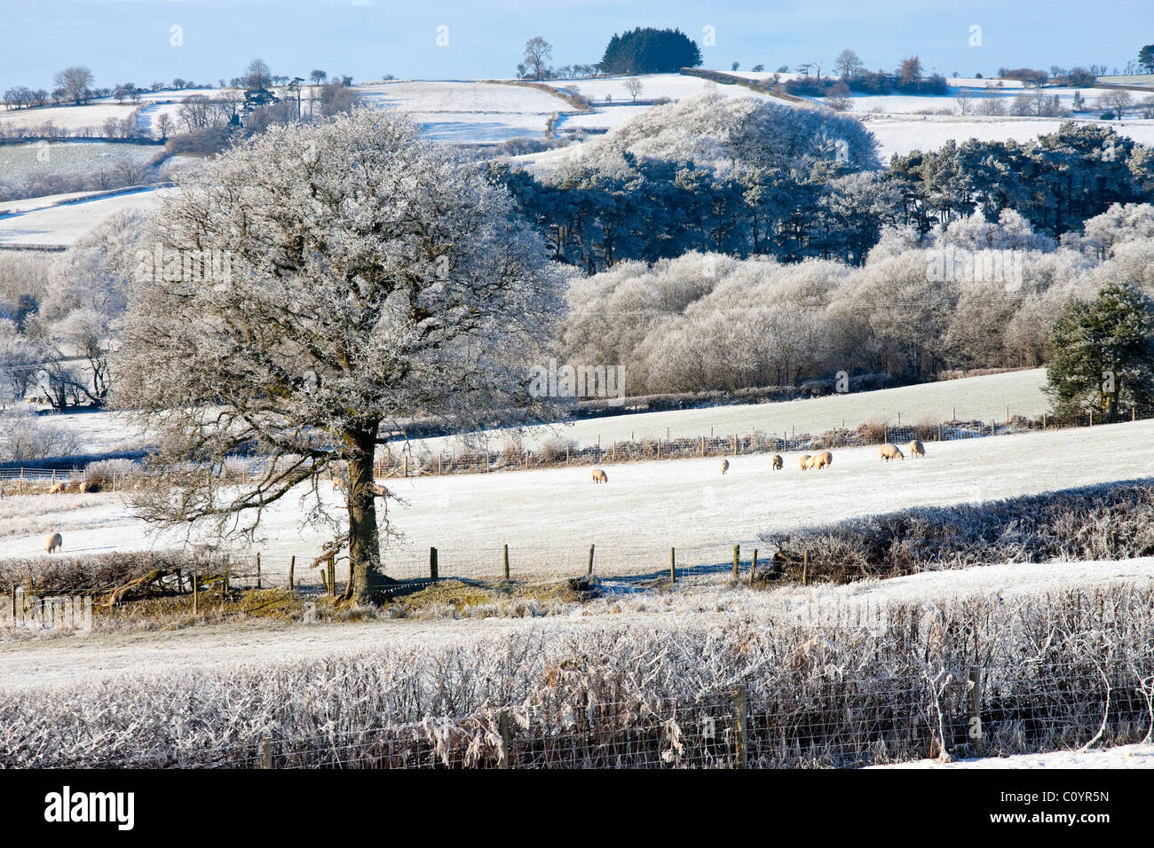 Brecon Beacons Powys Wales in winter Stock Photo - Alamy