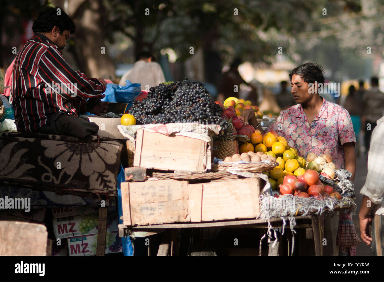 Fruit stalls on the streets of Delhi Stock Photo - Alamy