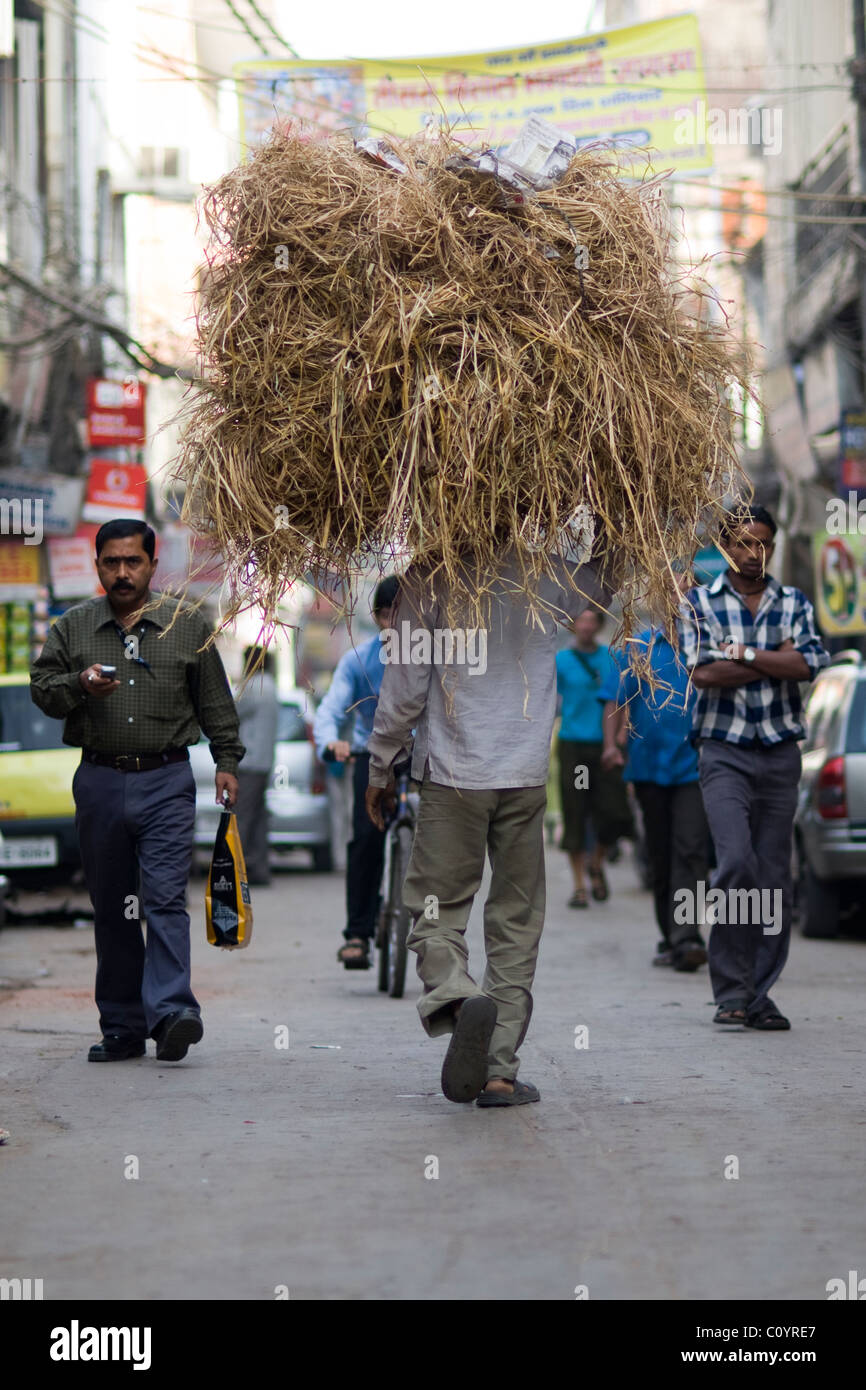 back view of an Indian man caring hay on his head Stock Photo - Alamy