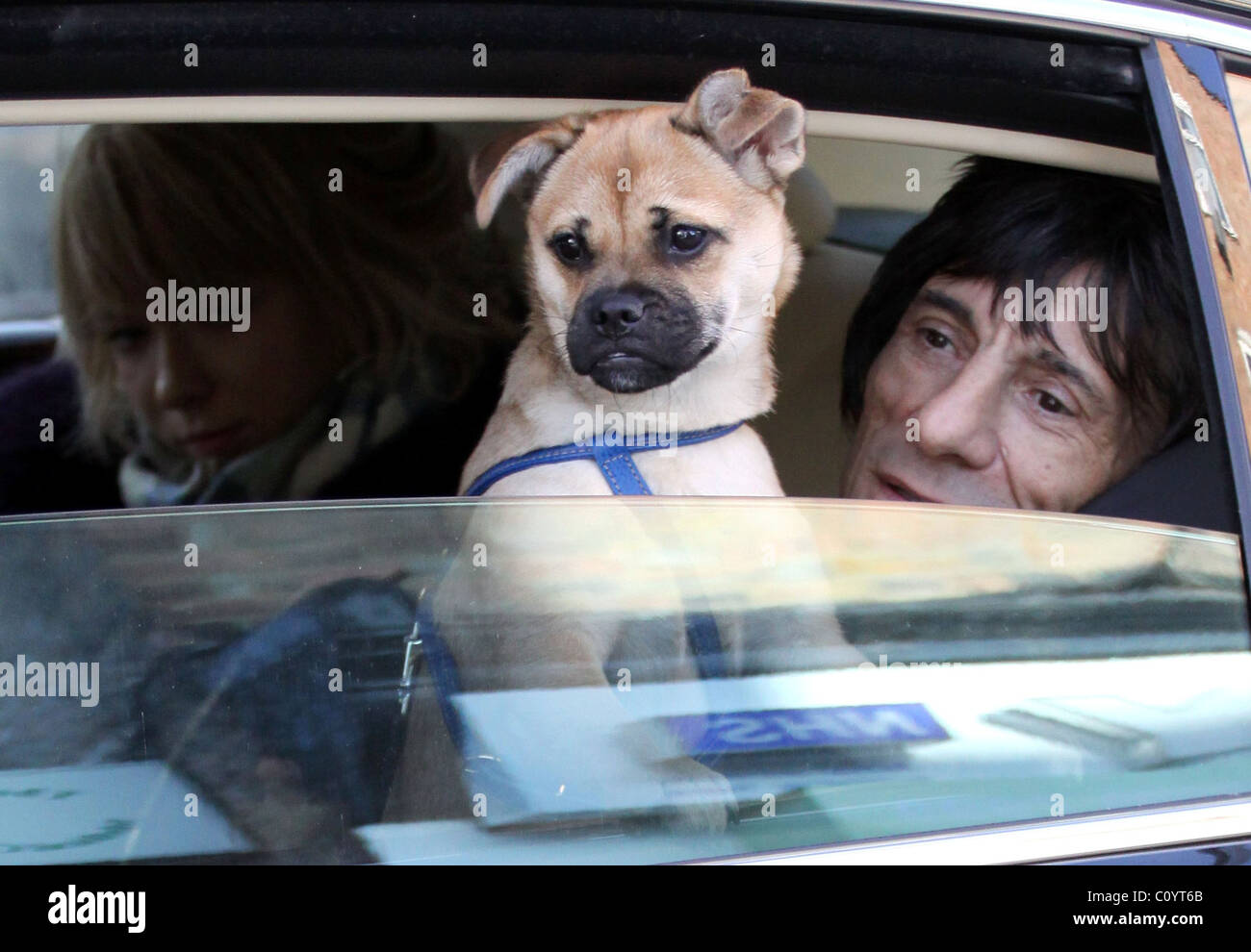 Ekaterina ivanova and ronnie wood hi-res stock photography and images ...
