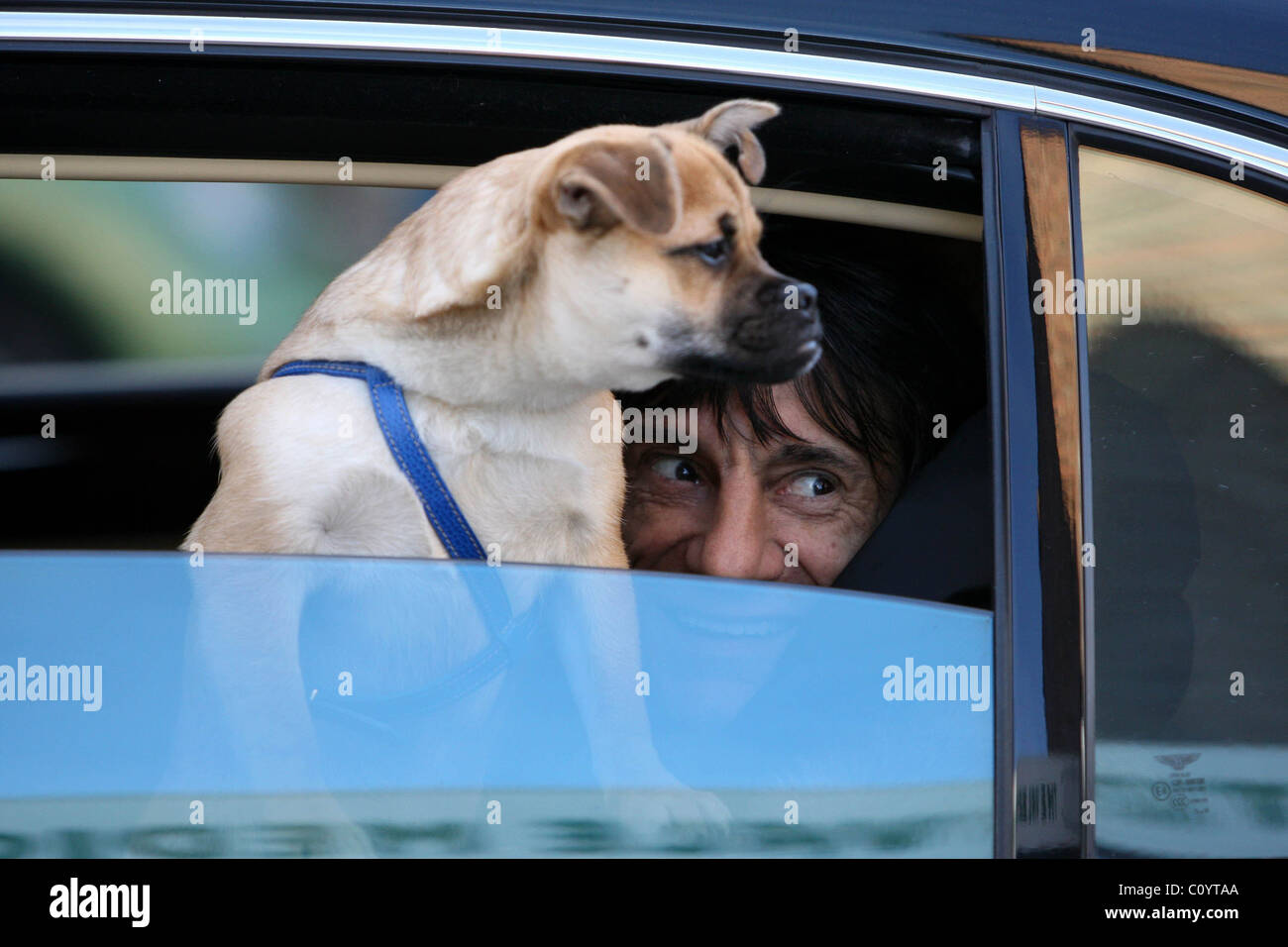 Ronnie Wood takes his dog to visit a pet shop Ronnie Wood and Rod ...