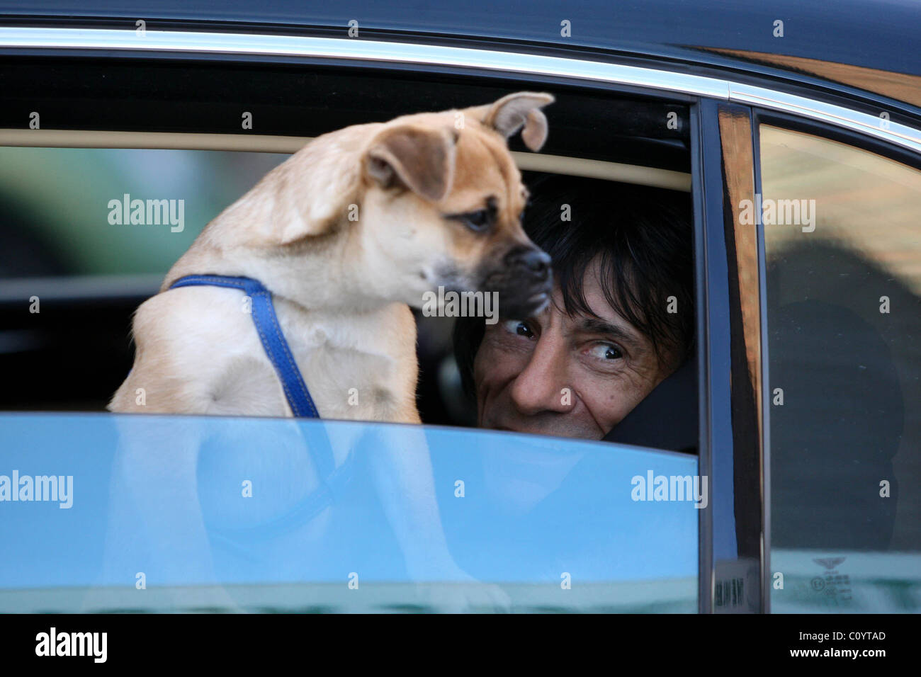 Ronnie Wood takes his dog to visit a pet shop Ronnie Wood and Rod ...