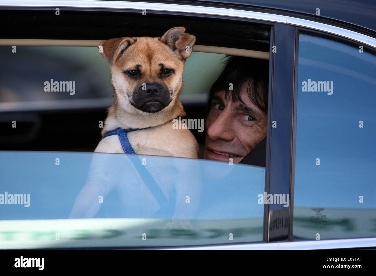 Ronnie Wood takes his dog to visit a pet shop Ronnie Wood and Rod ...