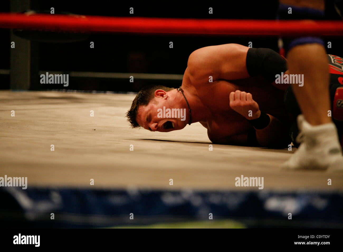 AJ Styles TNA Wrestling and the MEN Arena Manchester, England - 20.01. ...