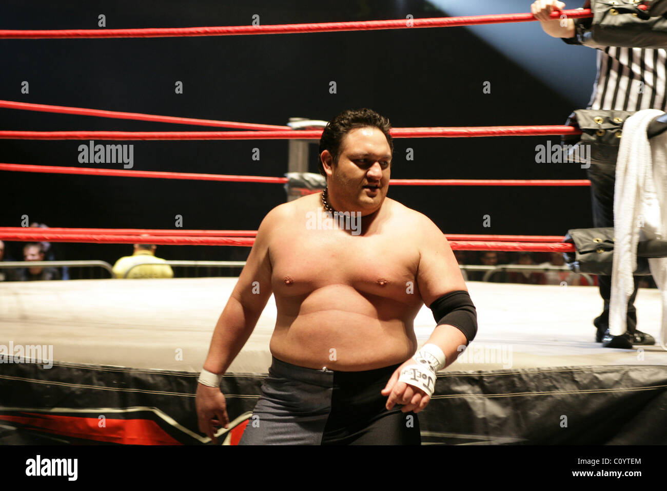 Tna Attendance Stadium