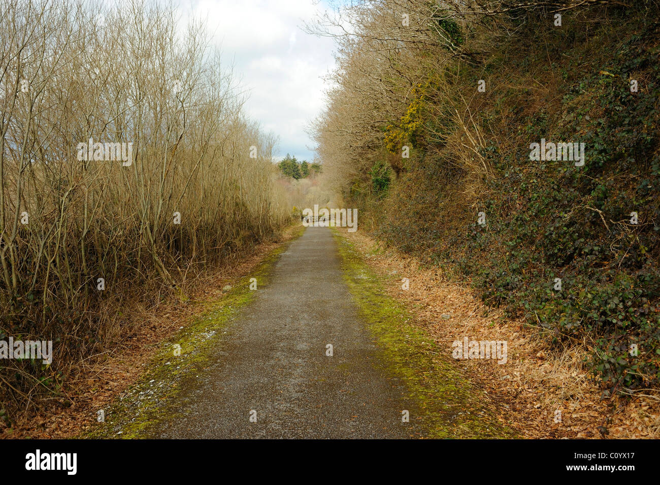 Old cork railway hi-res stock photography and images - Alamy