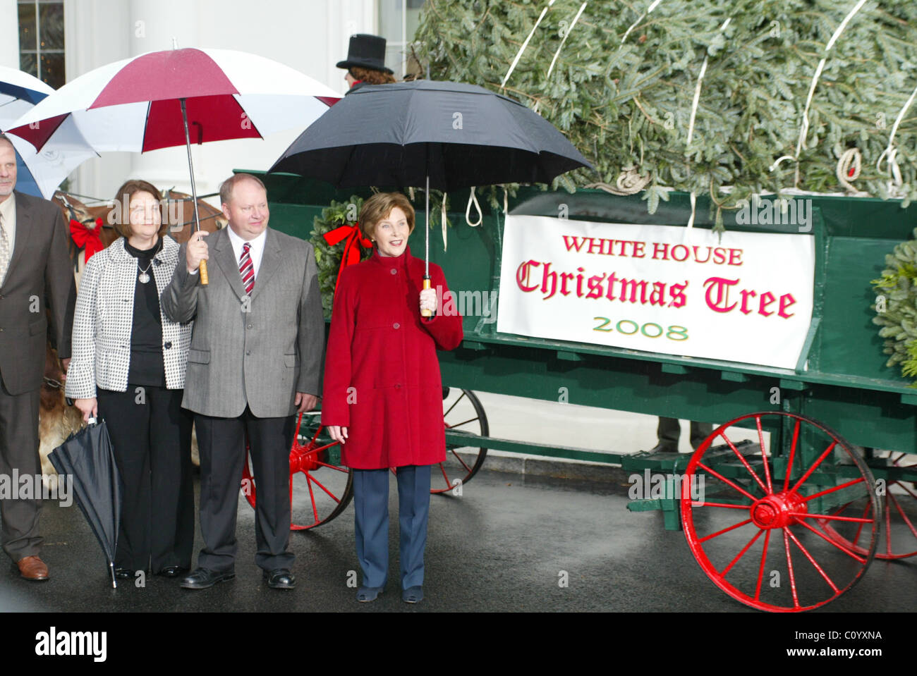 Laura Bush welcomes the White House Blue Room Christmas Tree to the ...