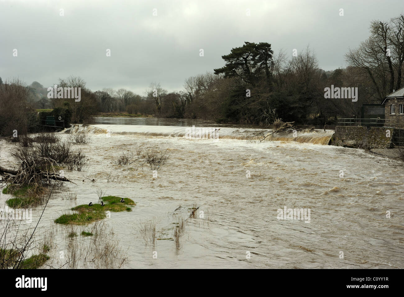 Bandon cork hi-res stock photography and images - Alamy