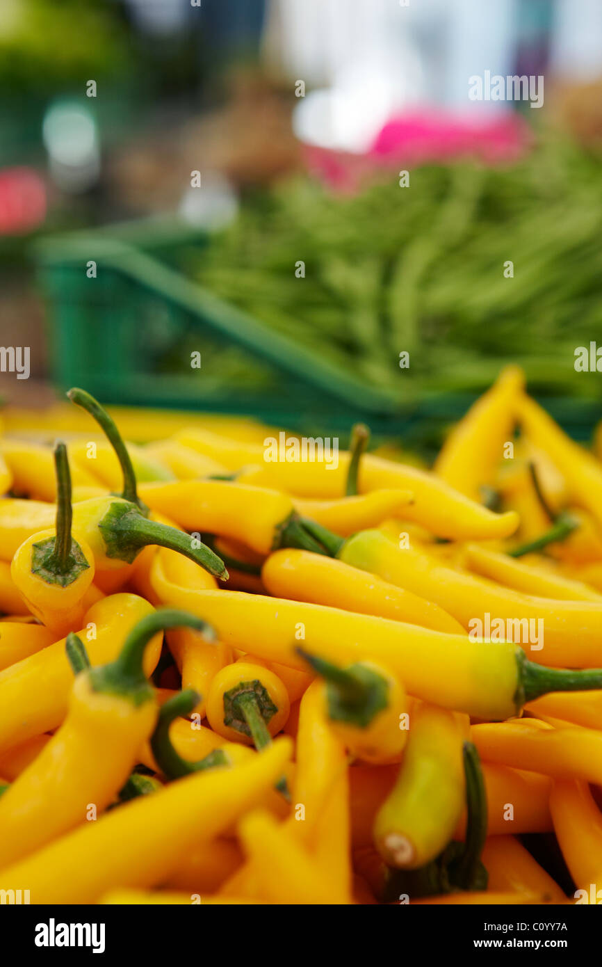 Yellow chili peppers at a market in Rome, Italy Stock Photo - Alamy