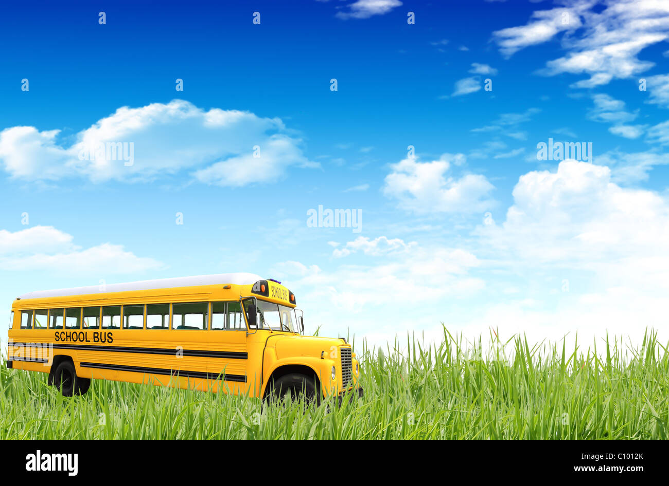 School bus on grass field hi-res stock photography and images - Alamy