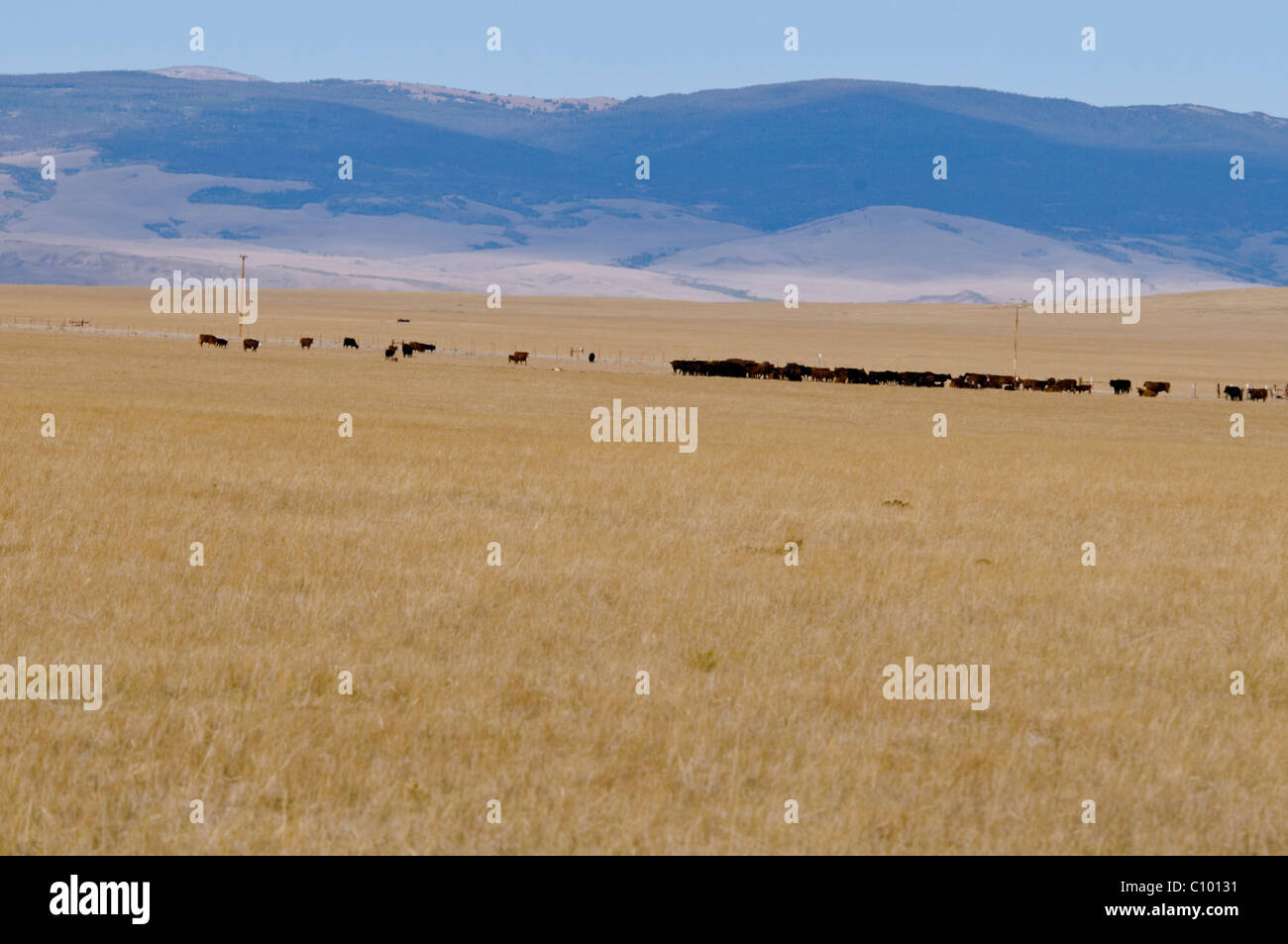 Eastern wyoming grassy plains hi-res stock photography and images - Alamy