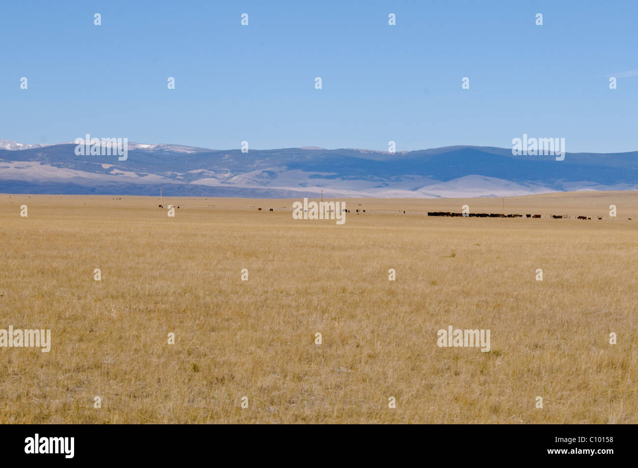 Eastern Wyoming Plains,Cattle Ranching,West of Laramie and Cheynne ...