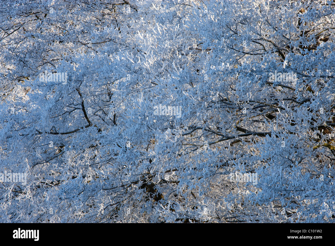 Frost crystals hi-res stock photography and images - Alamy