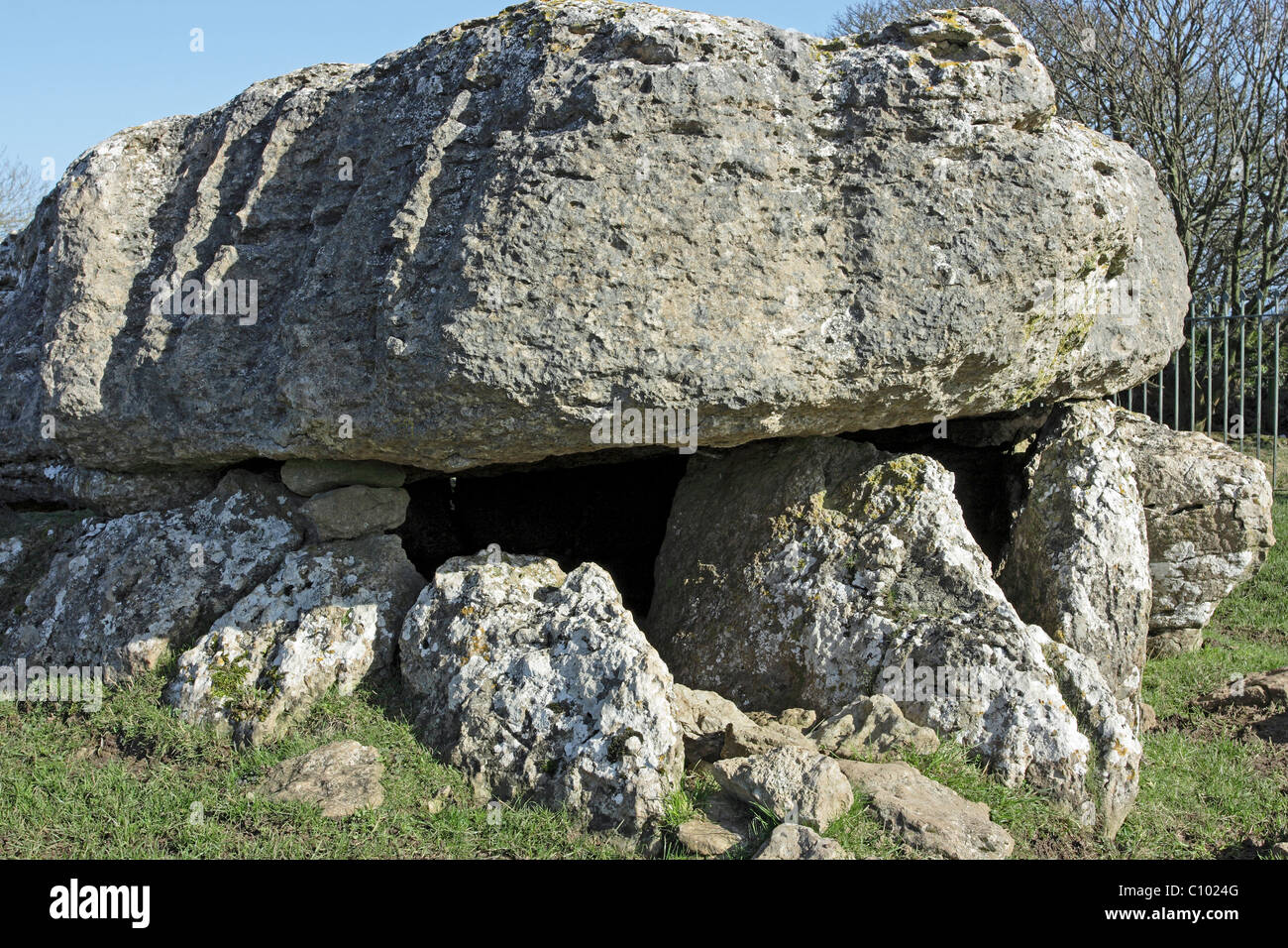 A view of the late neolithic burial chamber excavated at Lligwy, near ...