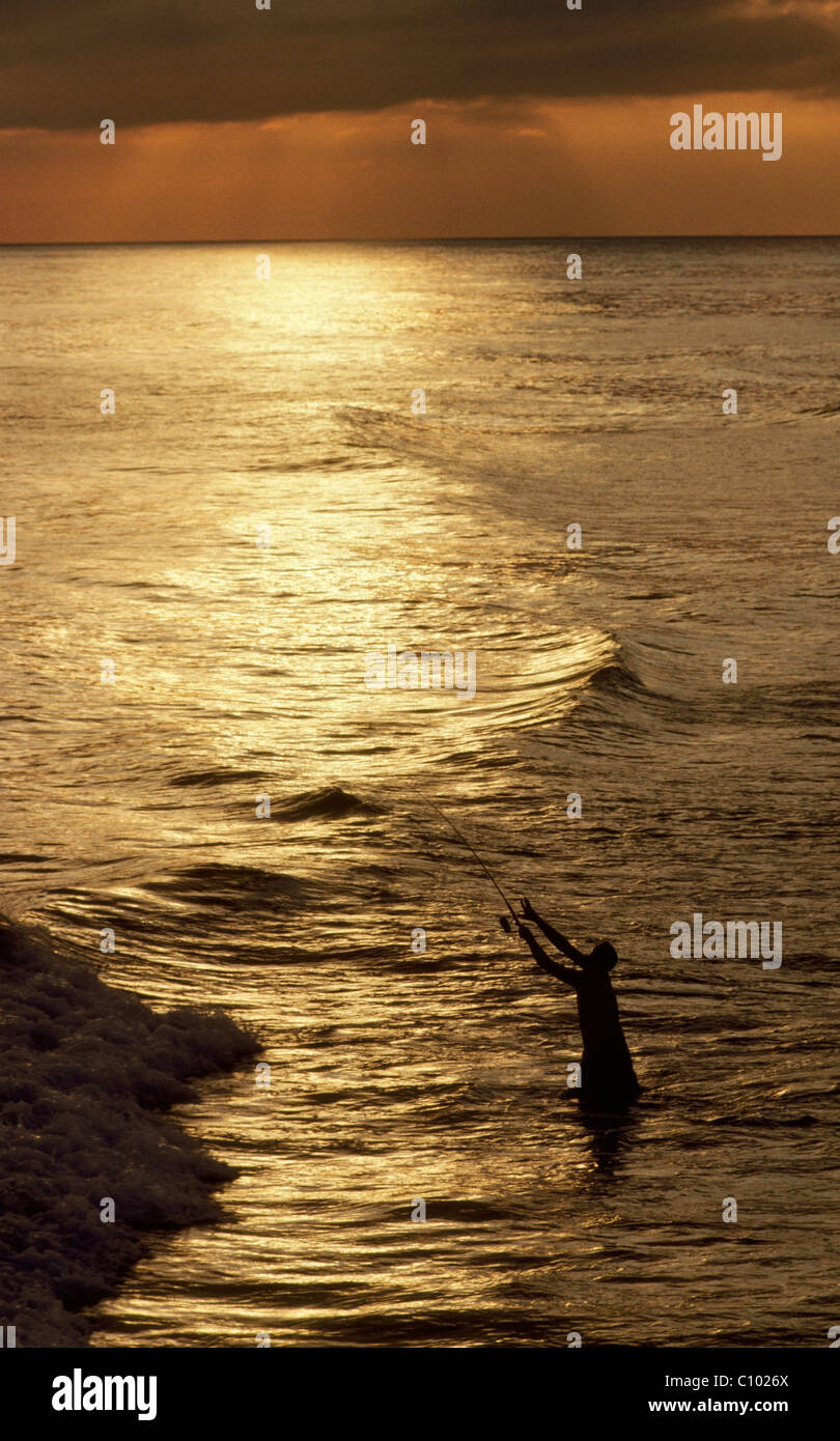 Florida winter scene hi-res stock photography and images - Alamy