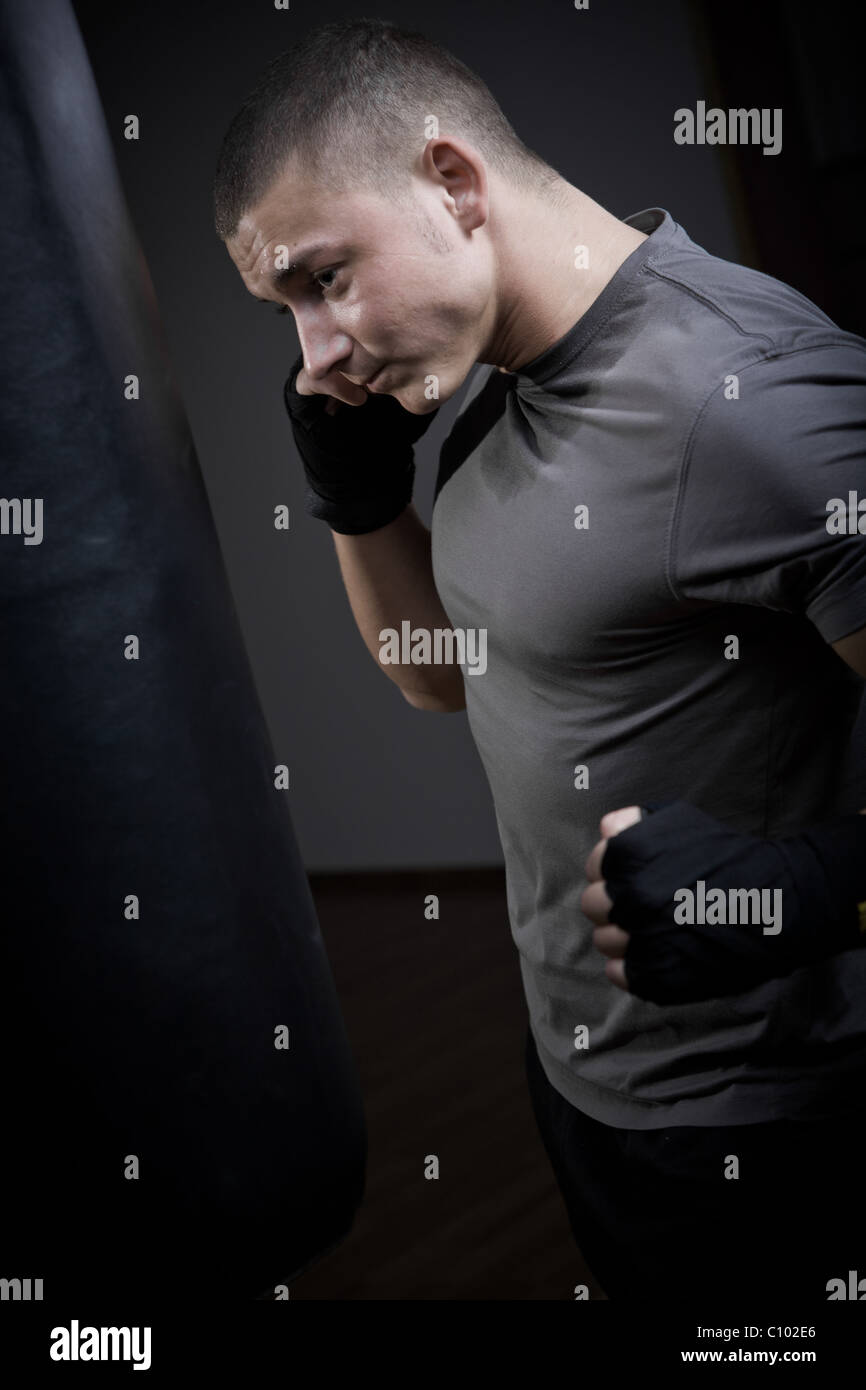 portrait of a young boxer Stock Photo - Alamy