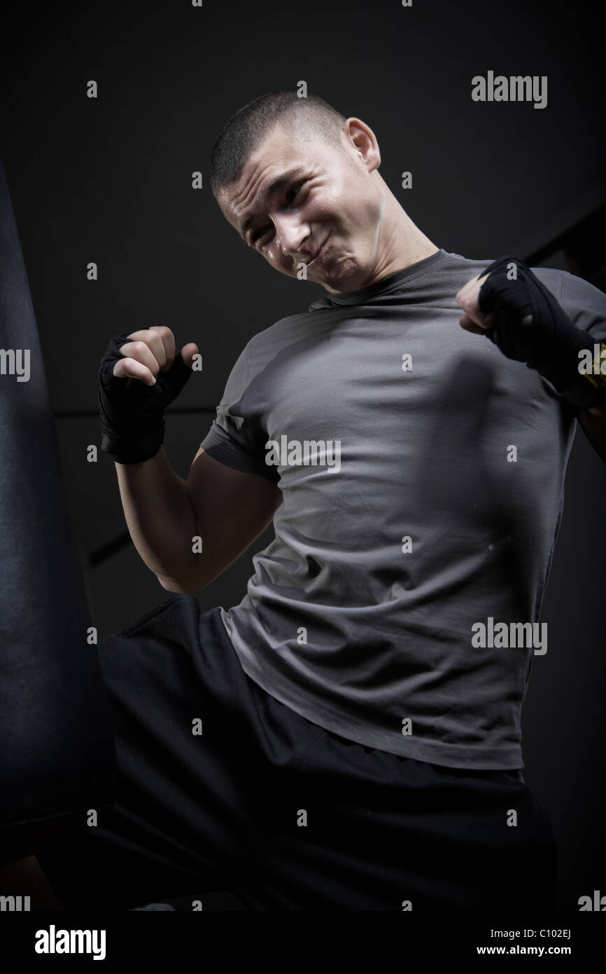 portrait of a young boxer Stock Photo - Alamy