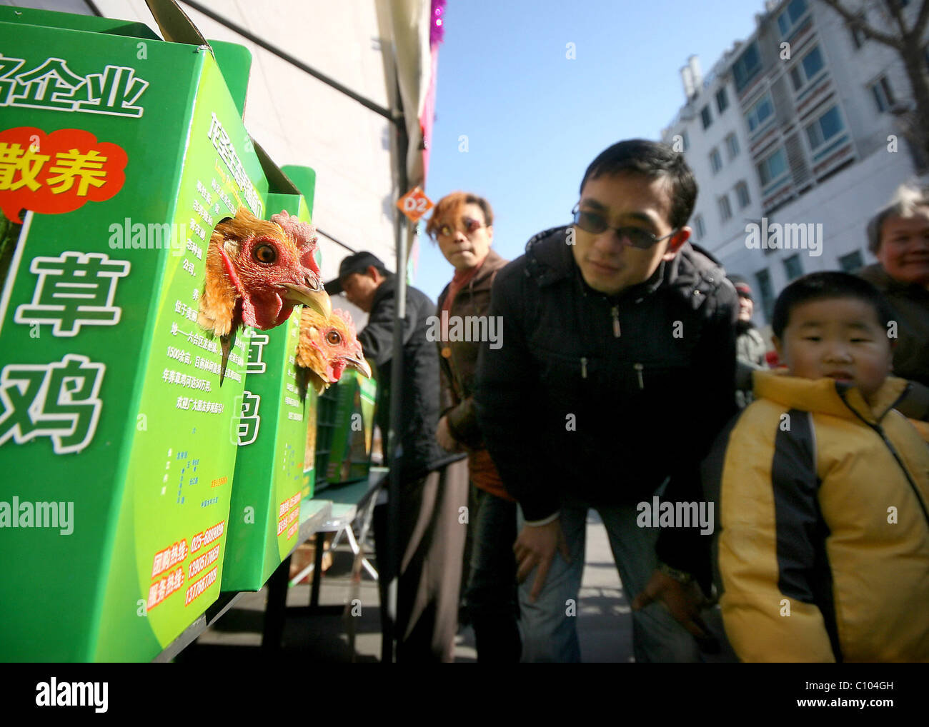 BIRD-BRAINED IDEA This is the perfect gift for a hen party... A wacky ...