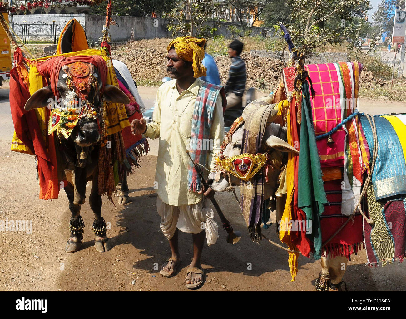 Gangireddu hi-res stock photography and images - Alamy