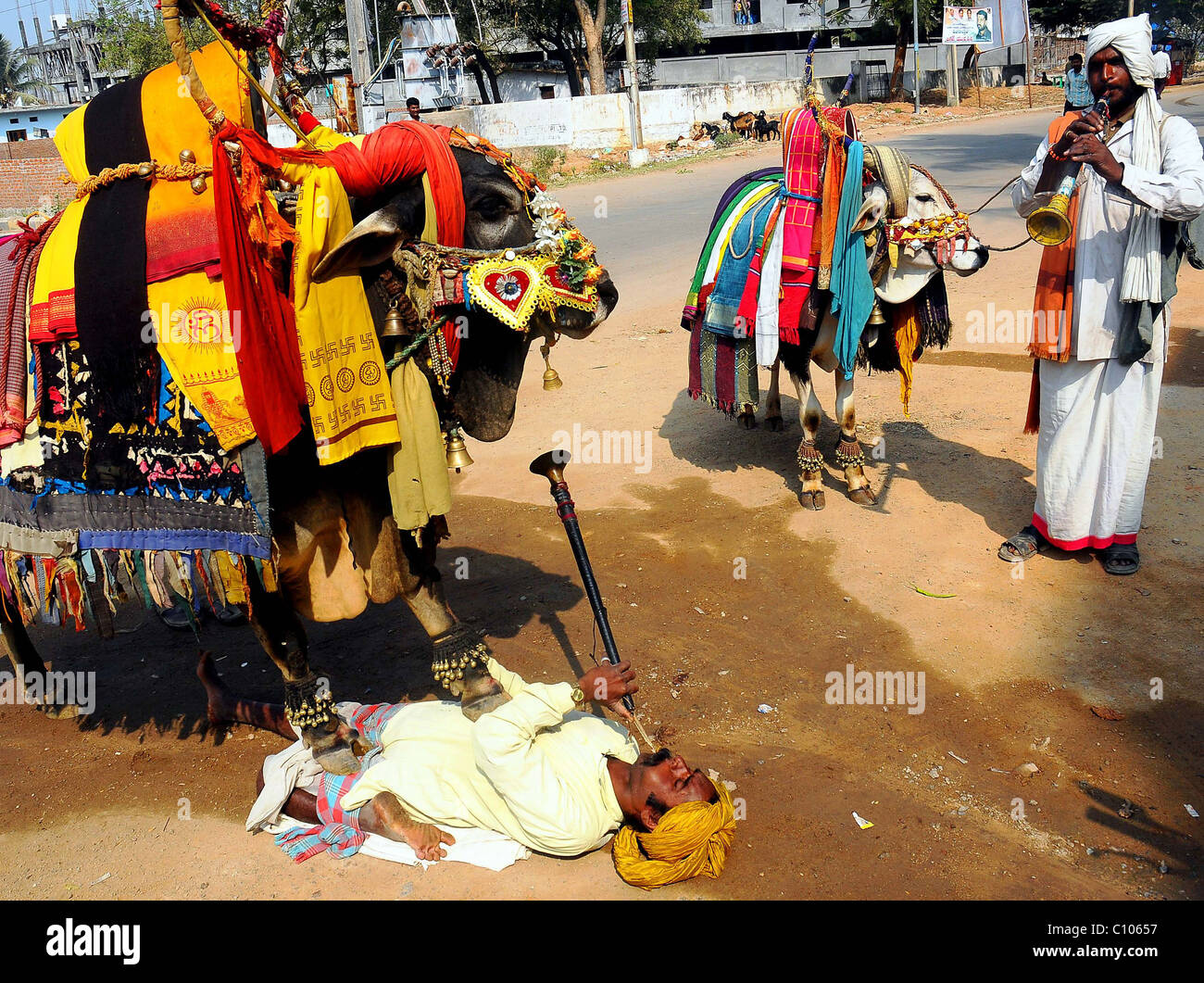 Andhra Sankranti Festival In