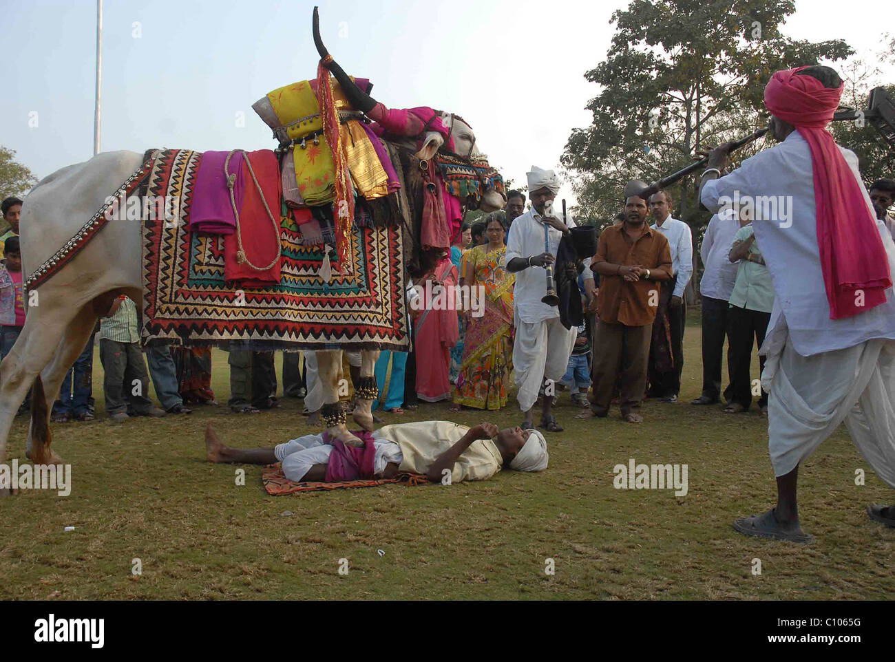 Indian village performer endures weight hi-res stock photography and ...