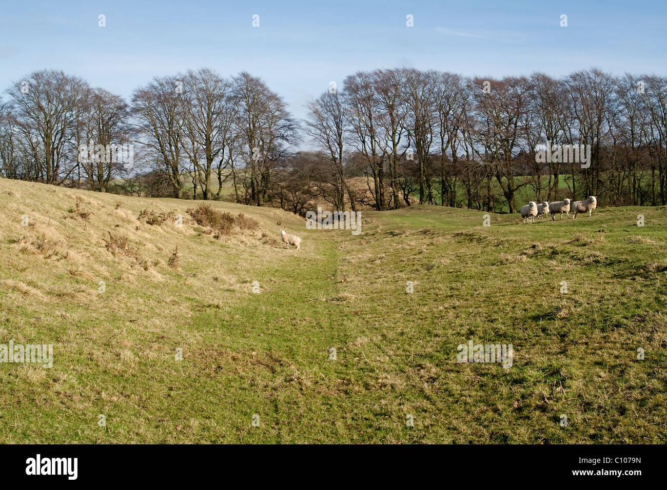 View along the line of Hadrian's Wall near Birdoswald Roman Fort ...