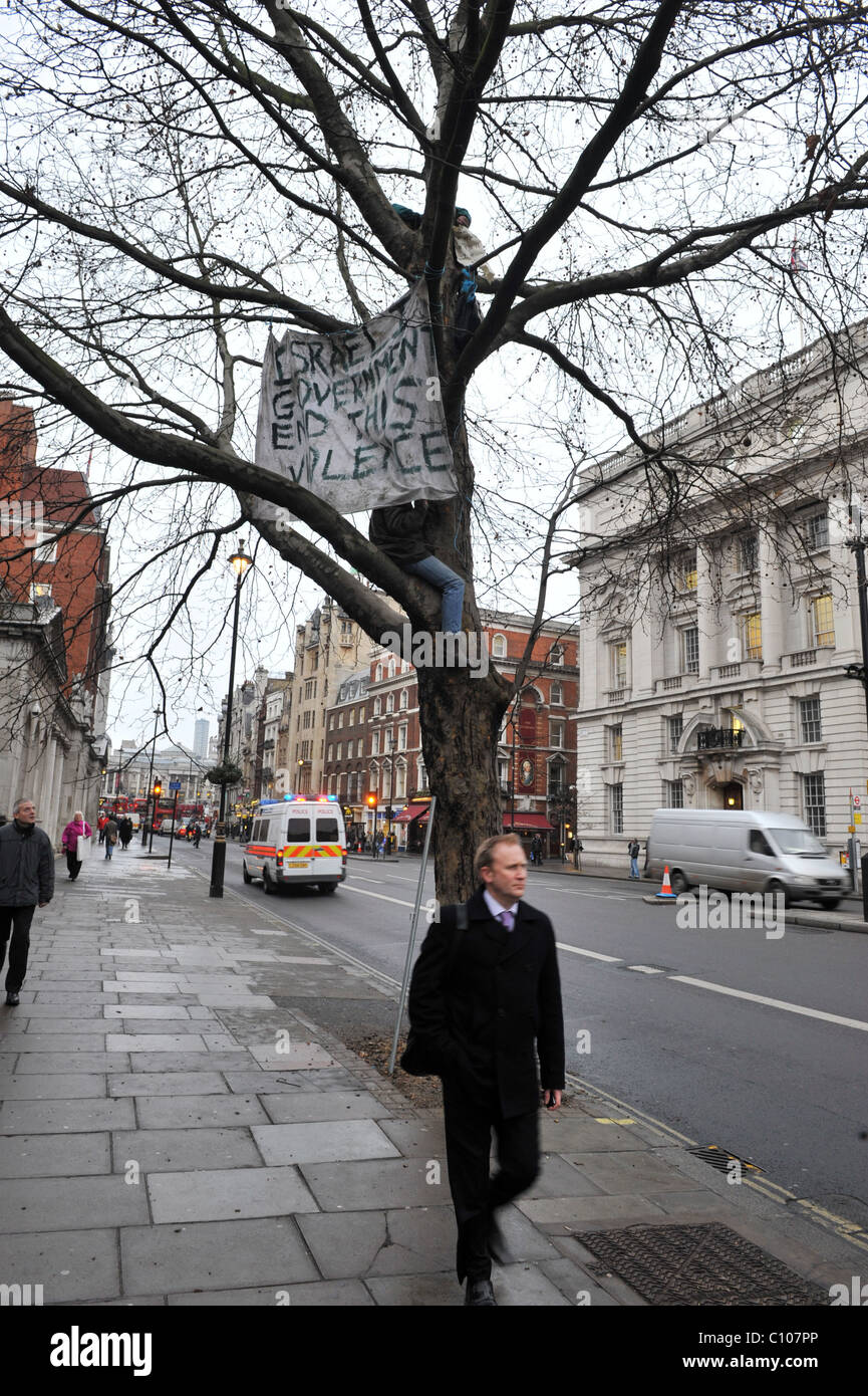 Two protesters climb a tree at Whitehall with banners in protest ...